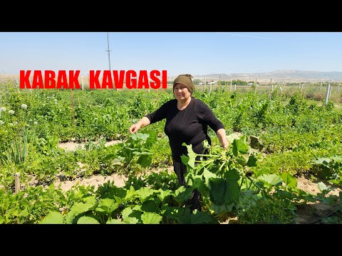 BAYRAMINIZ KUTLU OLSUN BAYRAM KAVGASI
