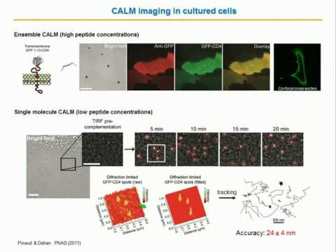 Single Molecule Imaging with Multiple Wavelengths - YouTube