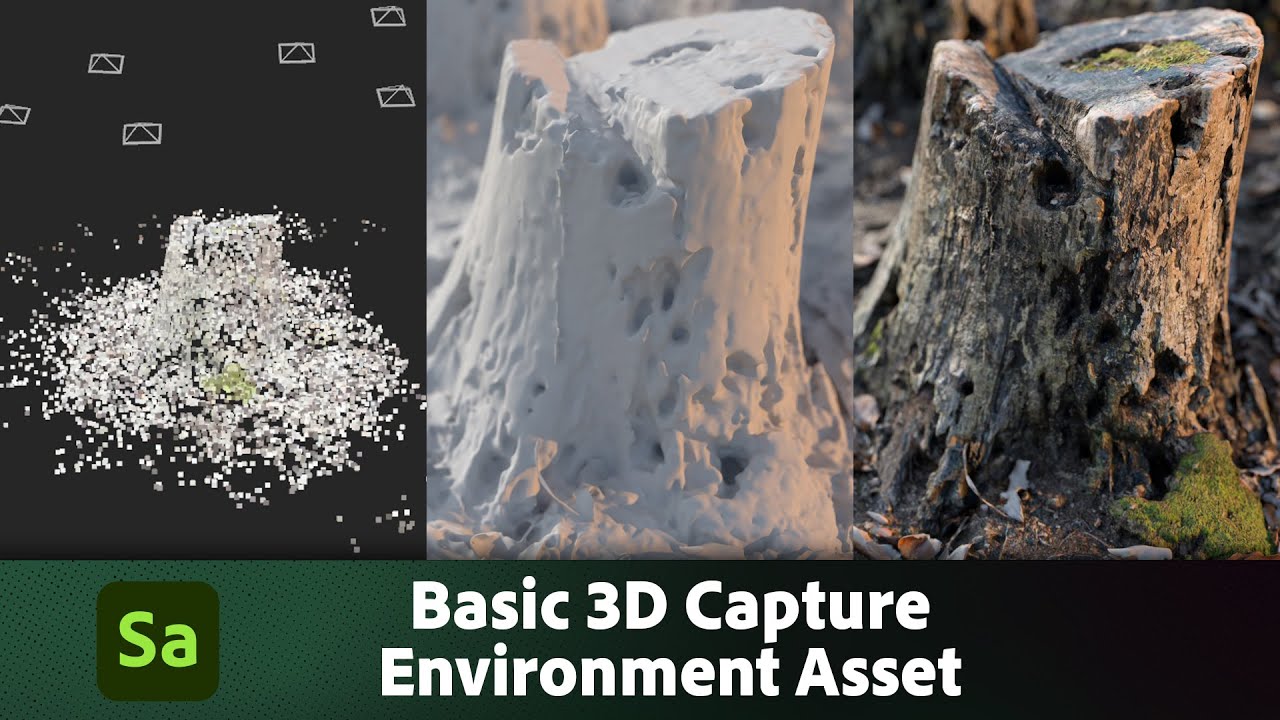 Basic 3D Capture - Capturing an outdoor scene | Adobe Substance 3D ...