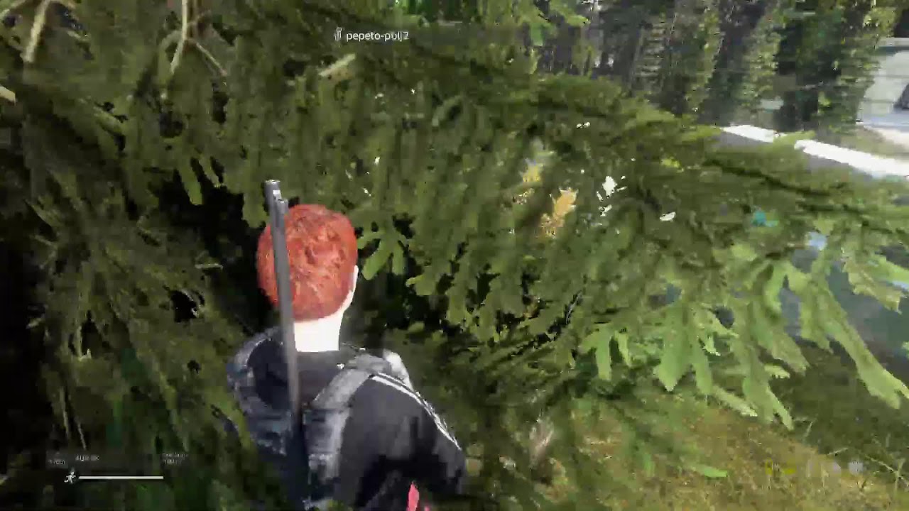 DAYZ A FREE FOR ALL - YouTube