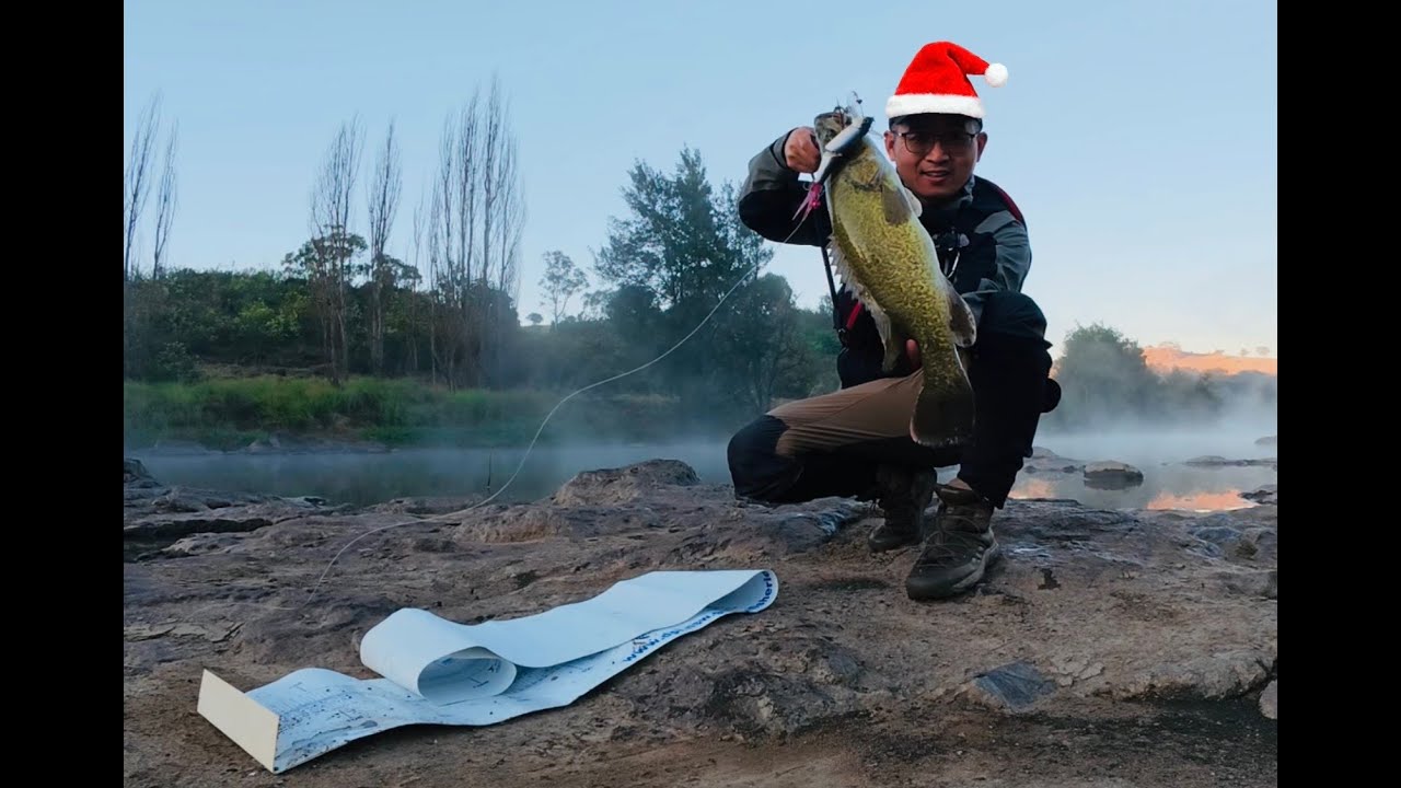 Murray Cod on Topwater Lure in Gorge Country - YouTube