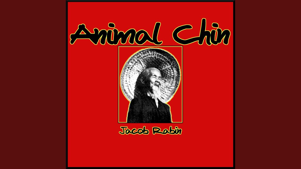 The Search for Animal Chin - YouTube