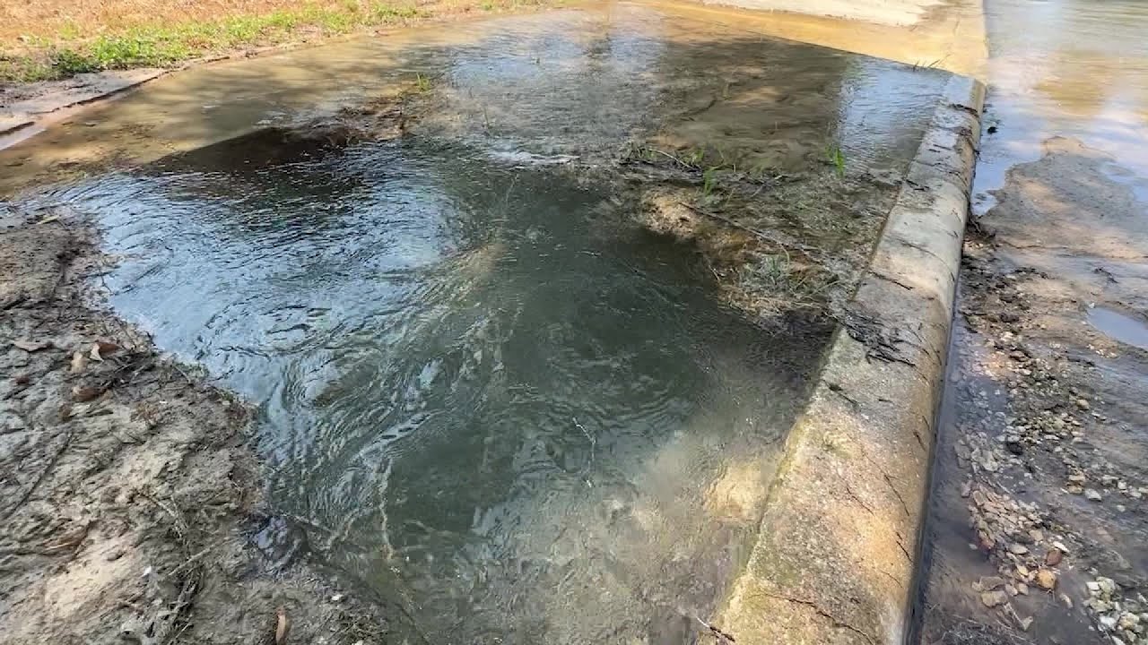 The city plans to take advantage of a change to the safe haven law that ...