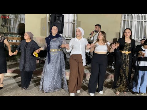 Yeni Halay Grani Ağır Delio 2024 Mardin Düğünü - Adana Düğünleri - Mazlum Ektiren