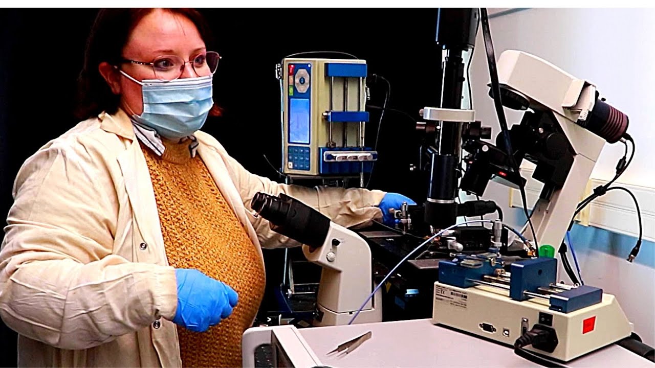 Improving disease diagnosis | Lehigh Bioengineering - YouTube