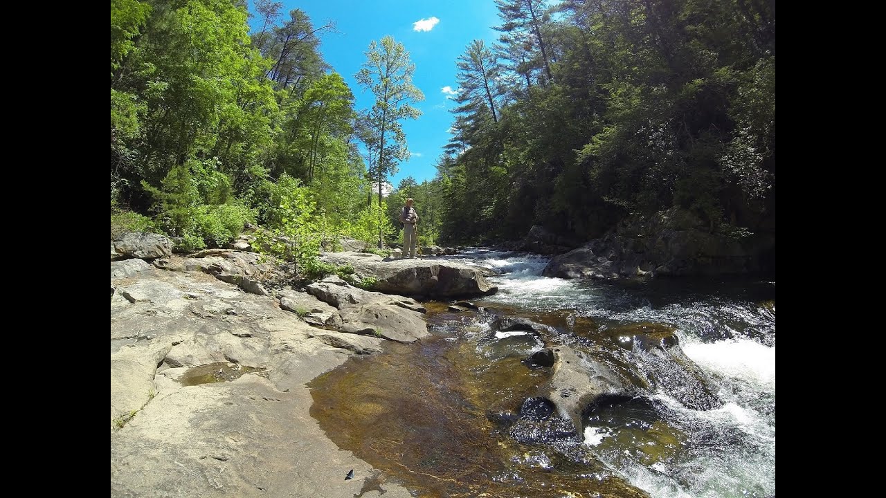 Cohutta Wilderness Beech Bottom Trail Day Hike - YouTube