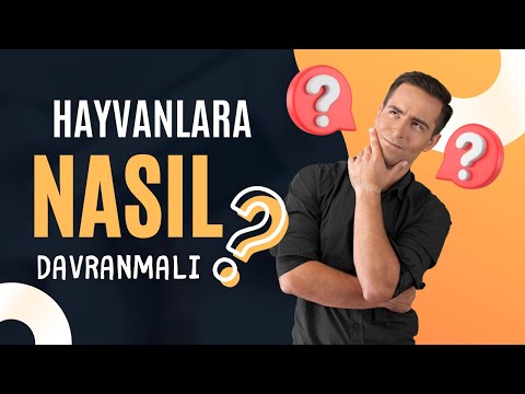 Hayvanlara Nasıl Davranmalıyız?