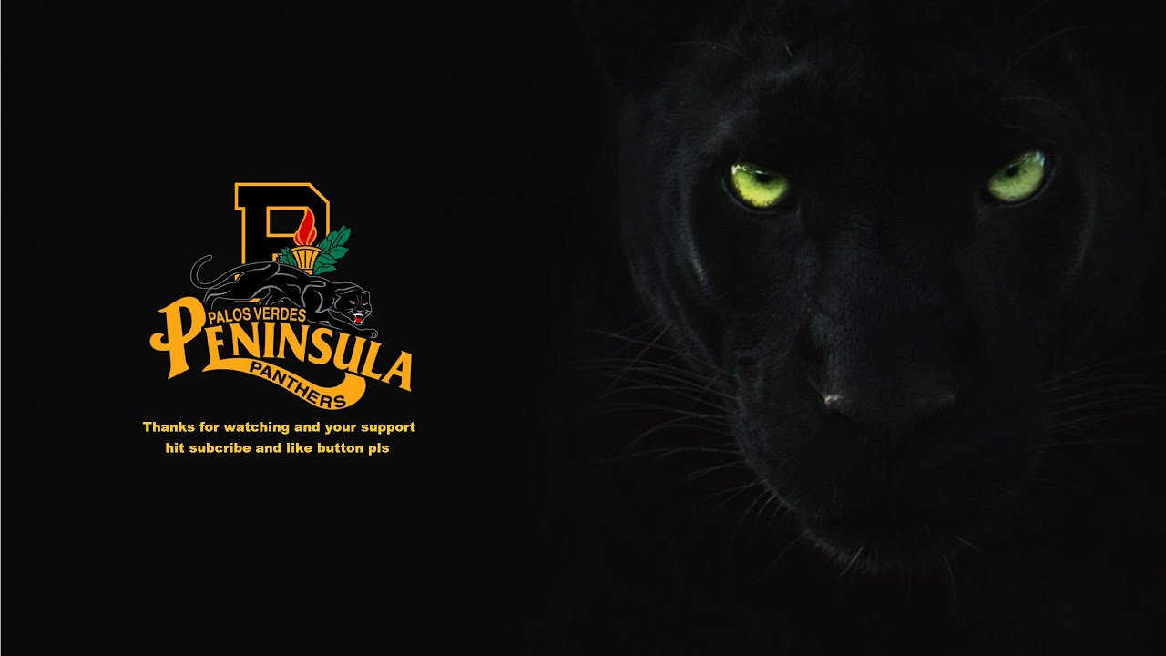 2023 PVPHS Panthers Frosh/Soph @Bellflower Tournament - YouTube