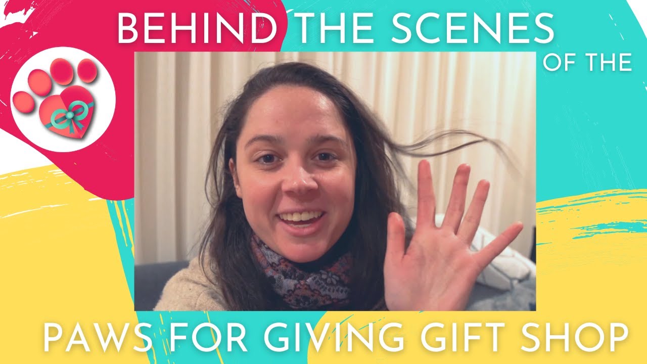 Behind the scenes of Paws for Giving with me - Nikki Waterson - YouTube