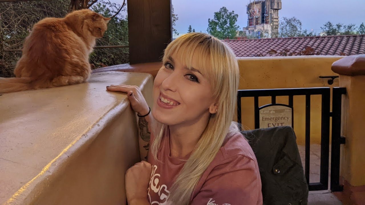 Dinner at the Magic Key Terrace with a special guest - YouTube