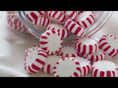 SCIENCE BEHIND: Peppermint sensation - YouTube