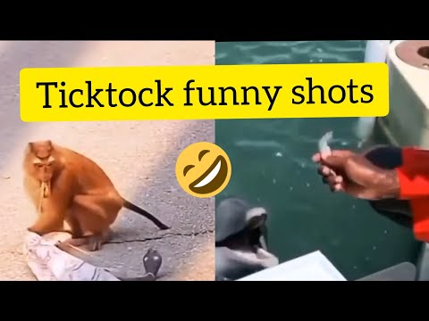 Tiiktok funny videos #shorts #funny #totalshorts