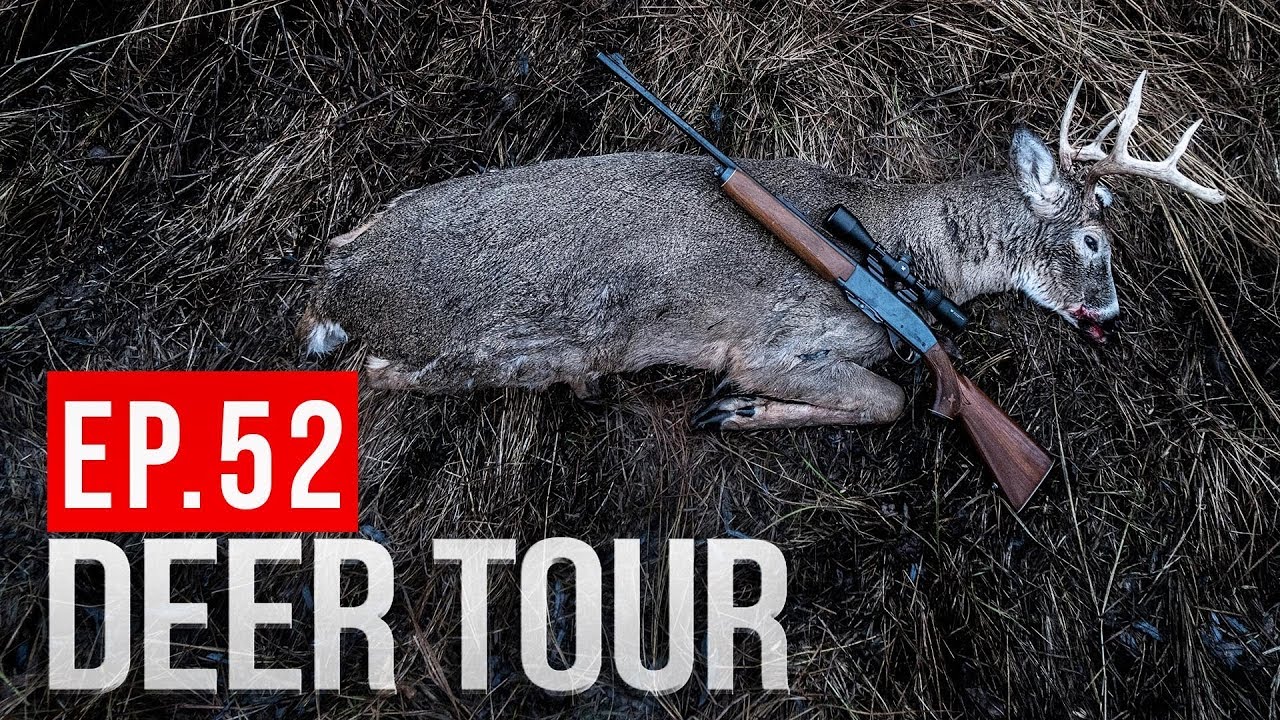 DEER DRIVE BUCK! Gun Hunting Public Land with DAN INFALT - DEER TOUR ...