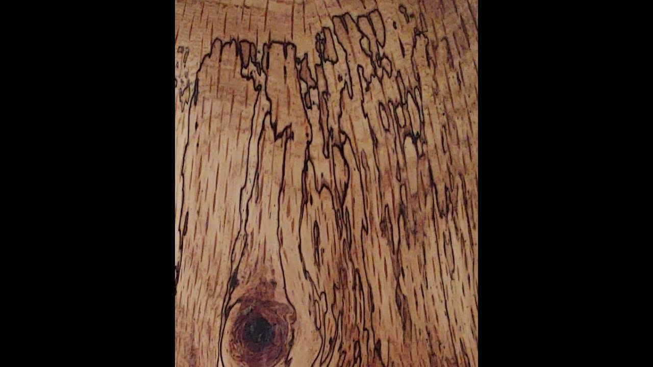 Spalted Oak Drying for over 20 years - YouTube