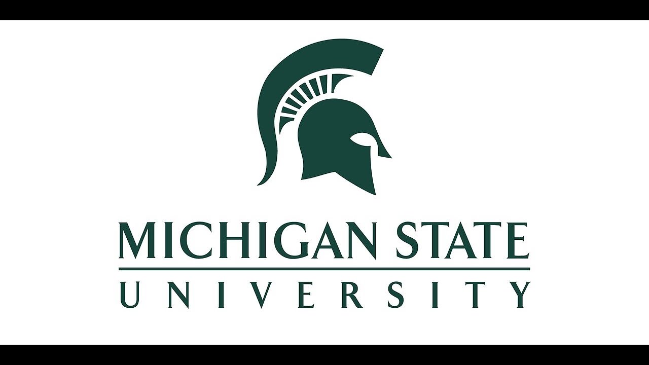 Michigan State University login (student login, email login, admissions ...