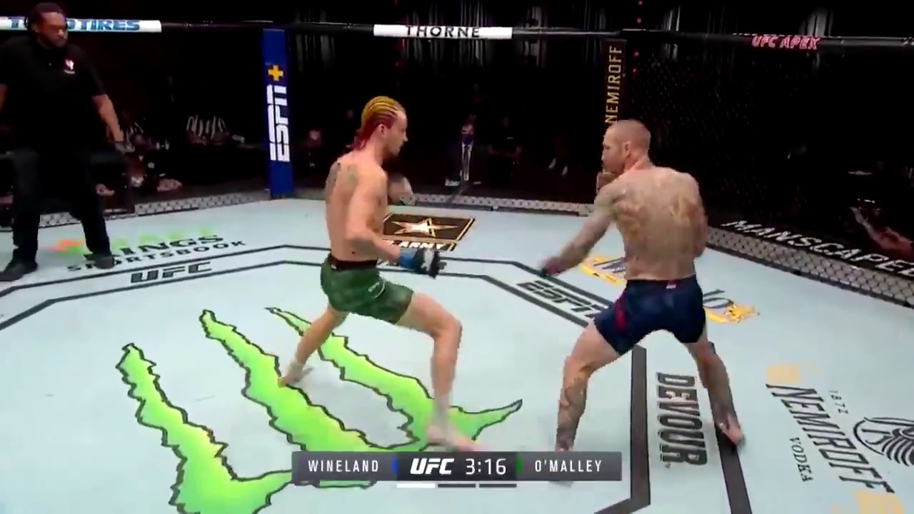 Suga Sean O'Malley KO - YouTube