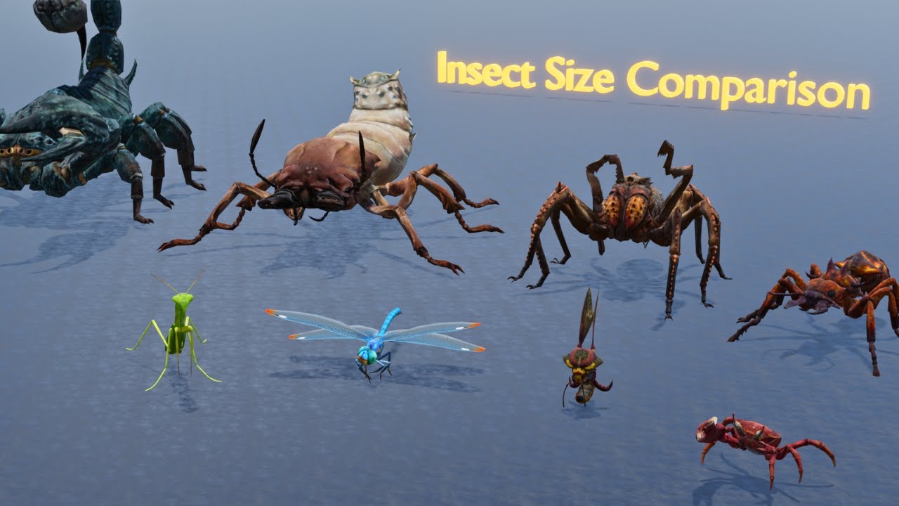 Insect Size Comparison 3D: Ants, Dragonfly, Praying Mantis & More | 3d ...