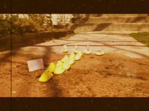 Matthew Young & Johny Ngo 7th Grade Peep Project - YouTube