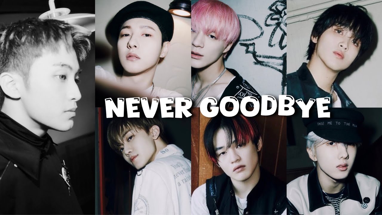 NCT DREAM (엔시티드림) - Never Goodbye (Concert Sound) - YouTube