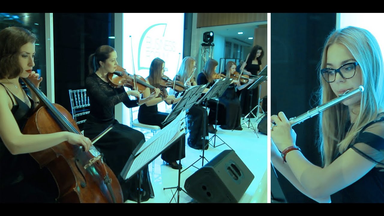 Стильный лаунж оркестр (chamber lounge orchestra). Заказать оркестр ...