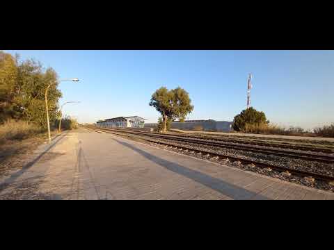 Renfe Intercity Barcelona Lorca por Elche Mercancías