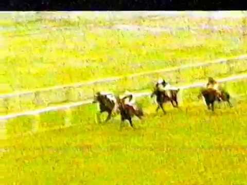 1991 - Newmarket Jockey Club Cup - Further Flight