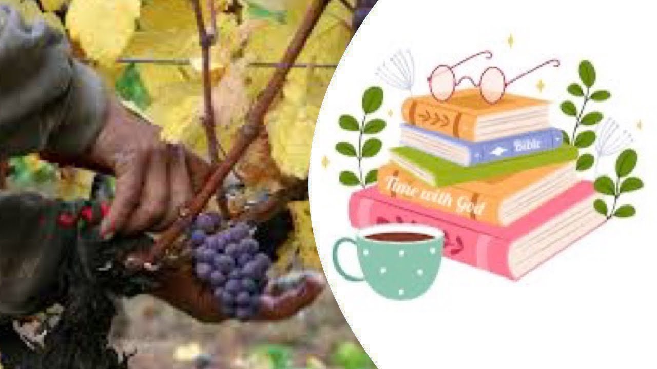 Wicked vine dresser - Luke 20:9-19 | Mar 30, 2024 - YouTube