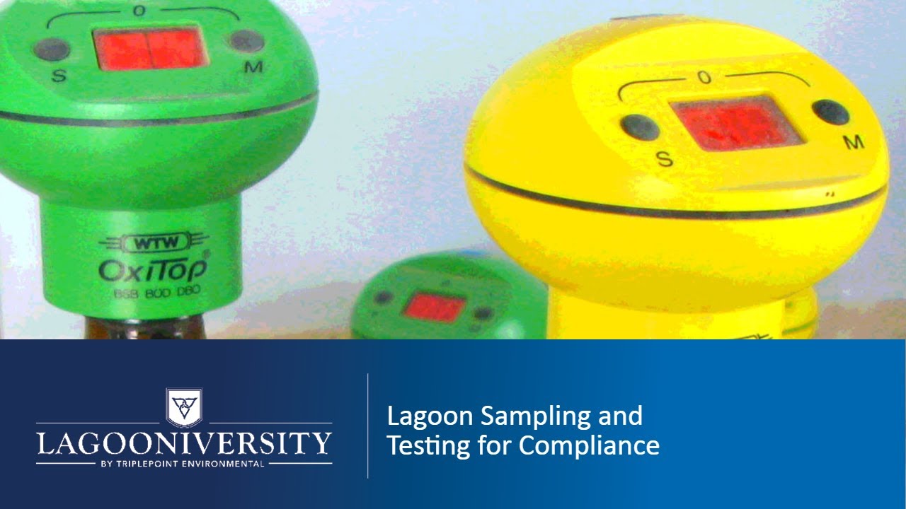Lagoon Sampling and Testing for Compliance - YouTube