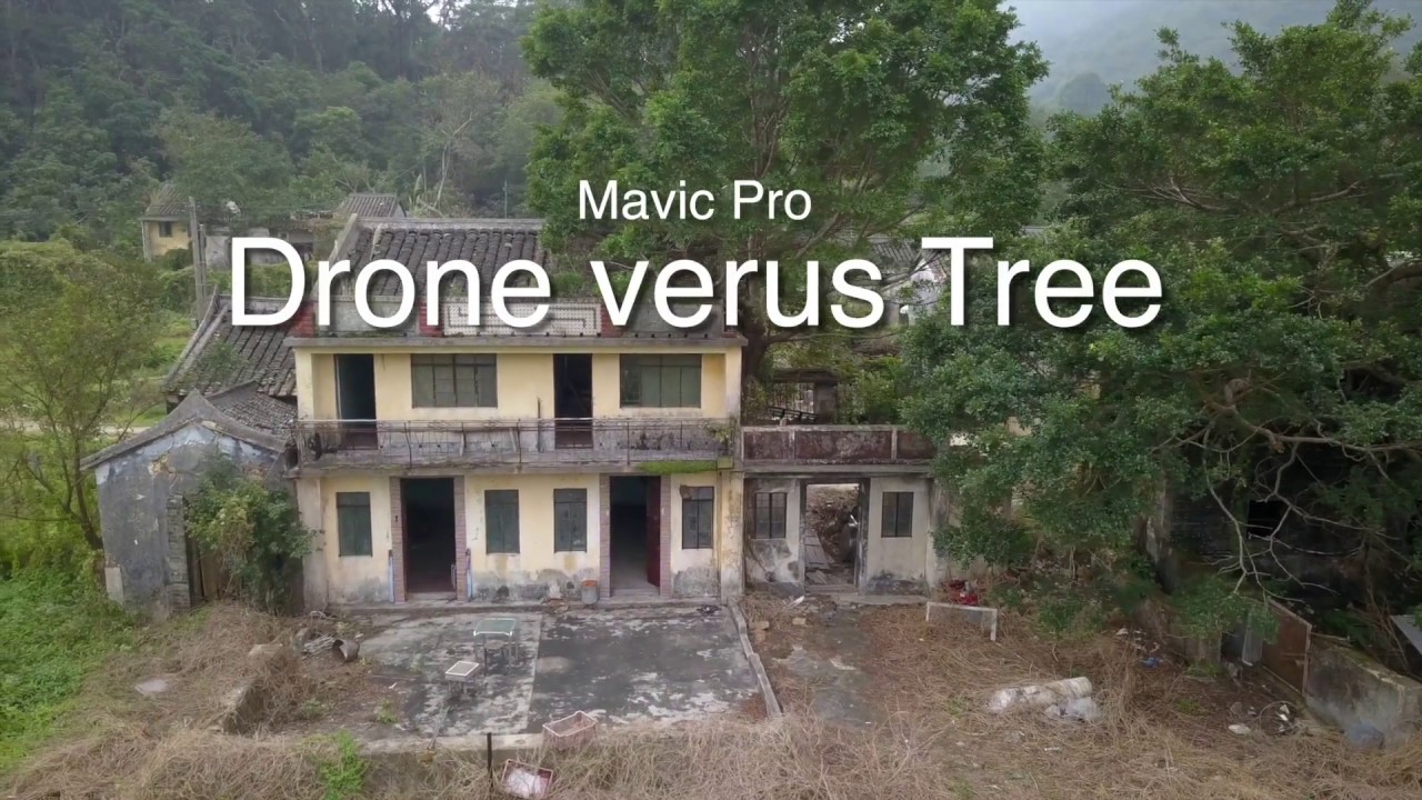 drone versus tree - YouTube