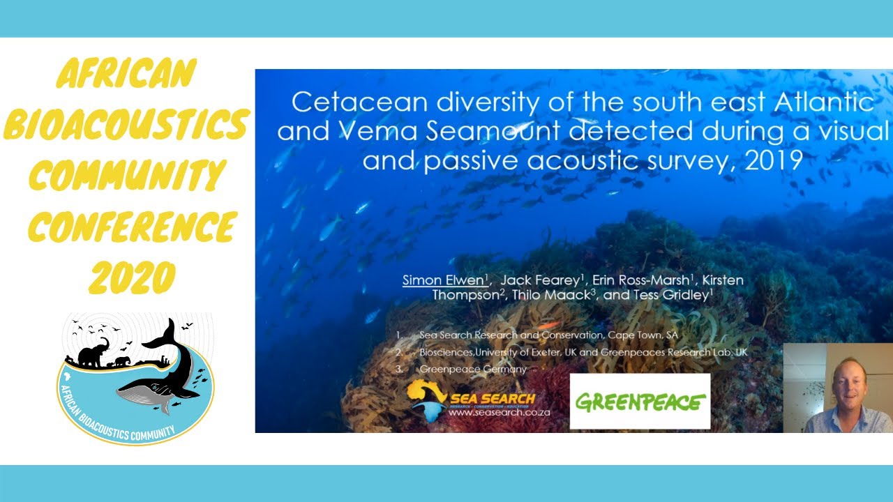 Cetacean diversity of the south east Atlantic and Vema Seamount - Simon ...