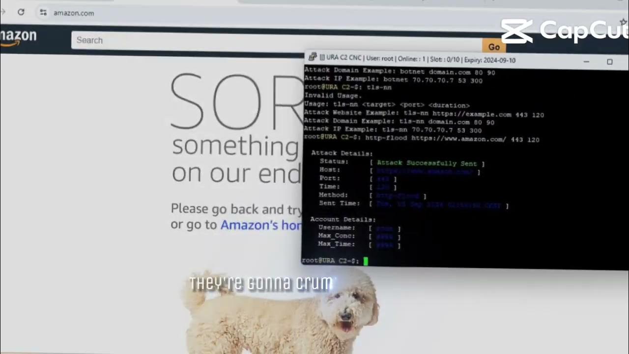 Sell C2 Api DDoS Plan Bot DDoS Bot Spam SMS Tất cả ở bình luận - YouTube