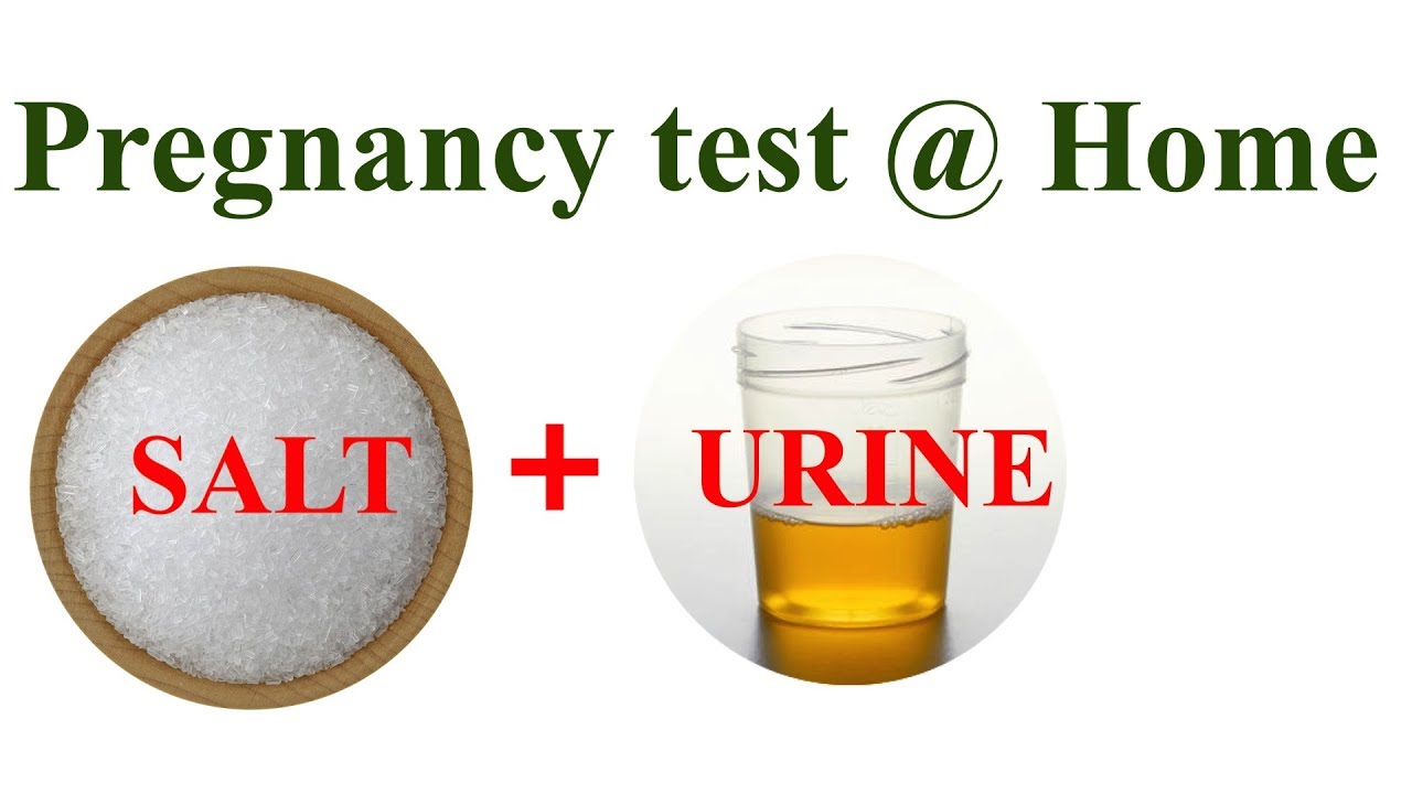 Pregnancy test at home using urine and common salt - YouTube