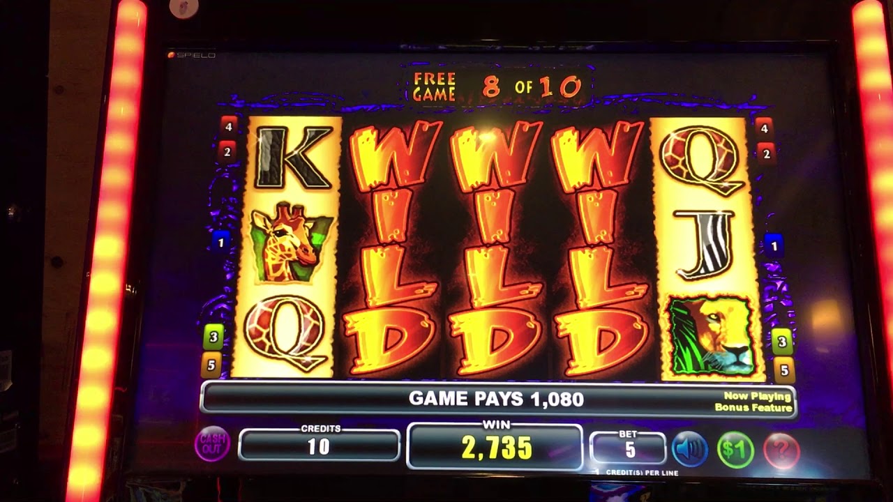 HAND PAY!!! @ WILD LIFE @ the. CASINO - YouTube