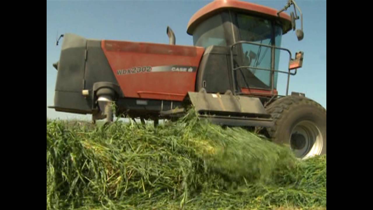 Double Windrow Attachment for Windrower - YouTube