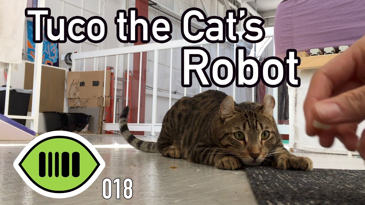 Tuco the Cat’s Robot - scanlime:018 - YouTube