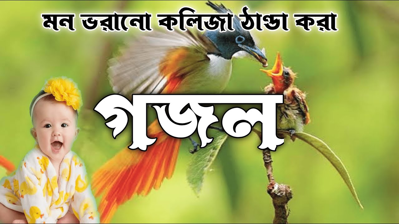 Best Selected Islamic Song Bangla Gojol 2021 New Bangla Gojol 2021 All ...