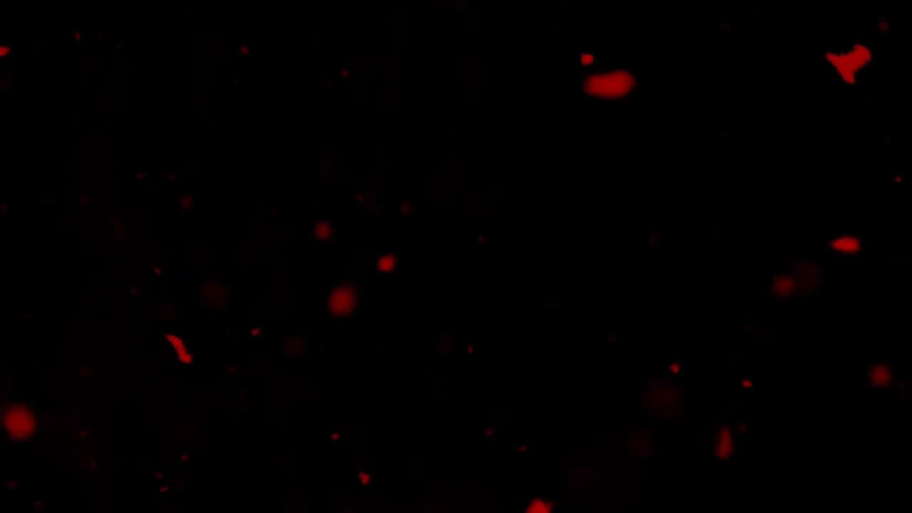 Red Snow Black Screen || Arun Tutorial 🔧 - YouTube