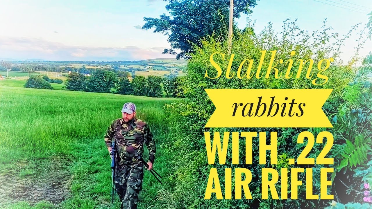 Rabbit hunting .22 Fac air rifle/hunting fieldsports - YouTube