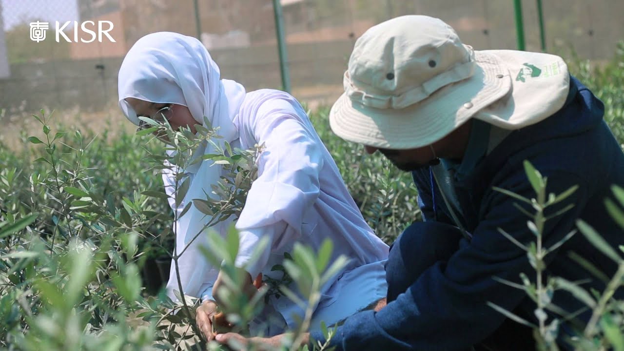 KISR (Kuwait Institute for Scientific Research) - YouTube