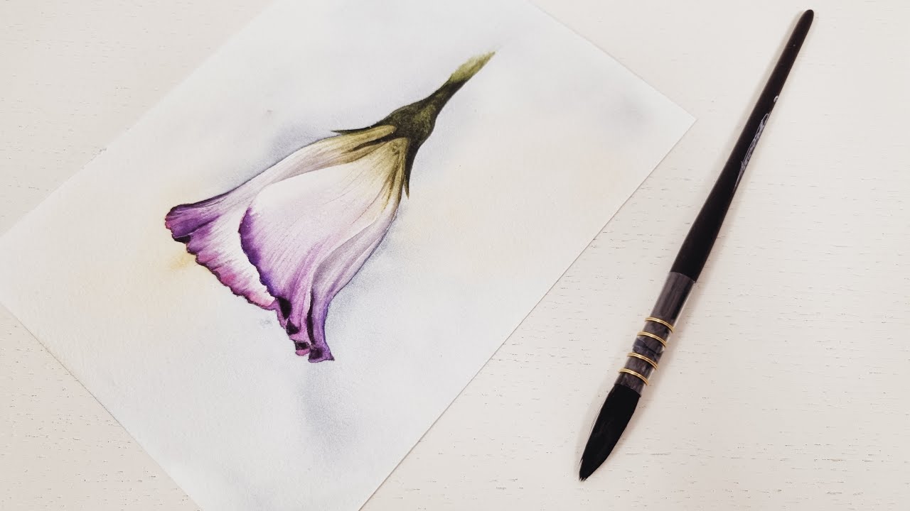How to paint lisianthus flower in watercolor | eustoma flower painting ...