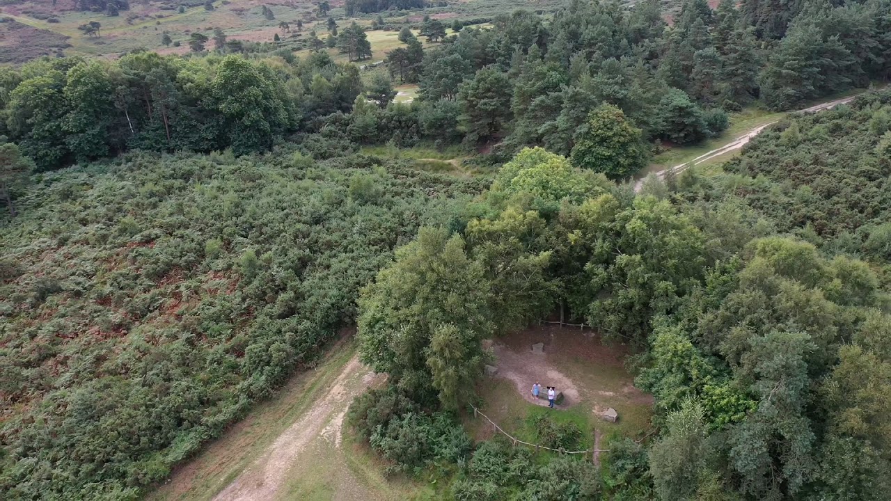 The Enchanted Place of Ashdown Forest - YouTube