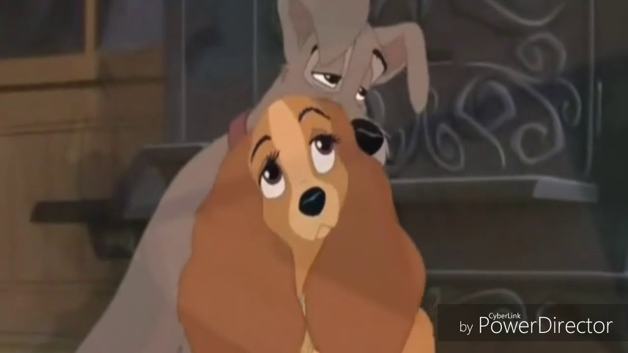 Scamp and Angel aventure - YouTube