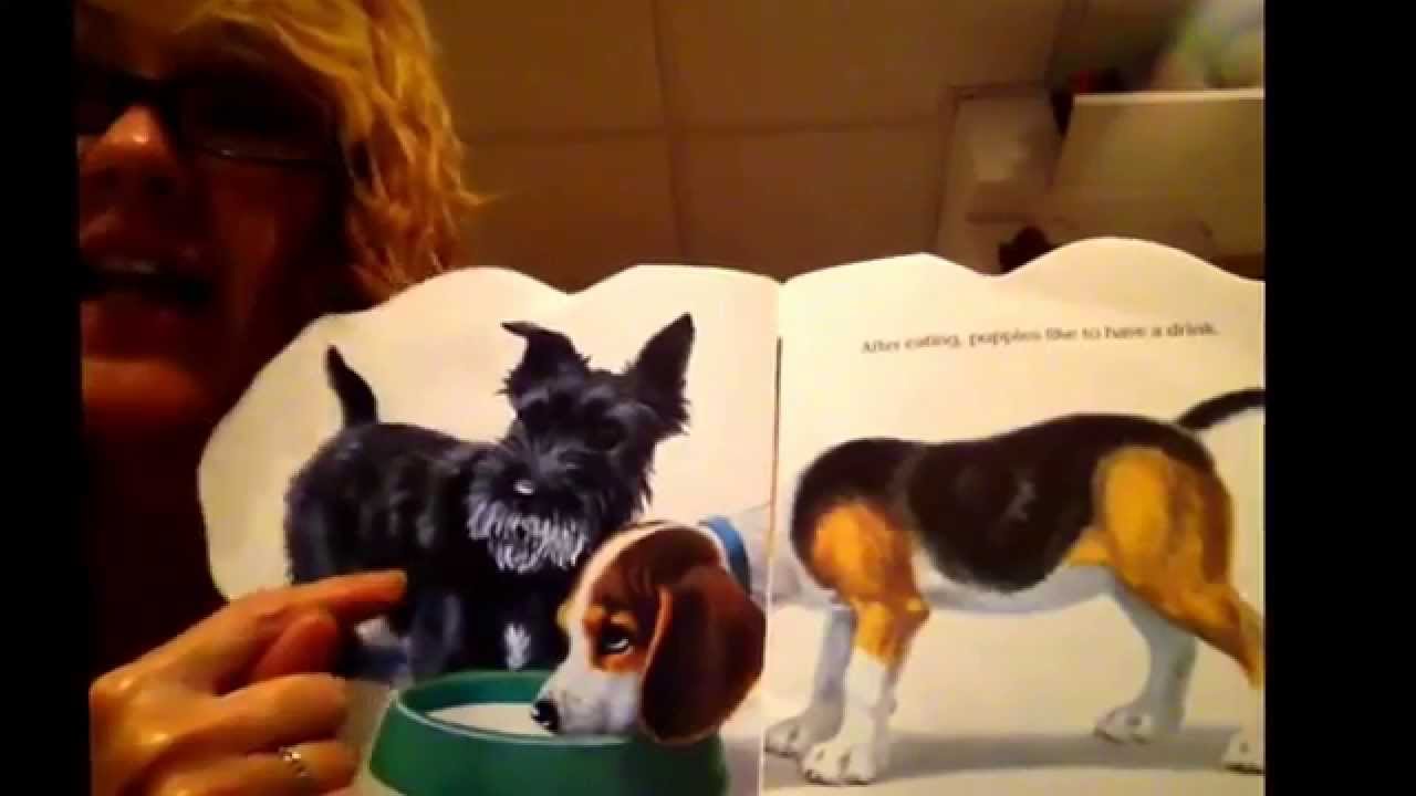 The puppy book - YouTube