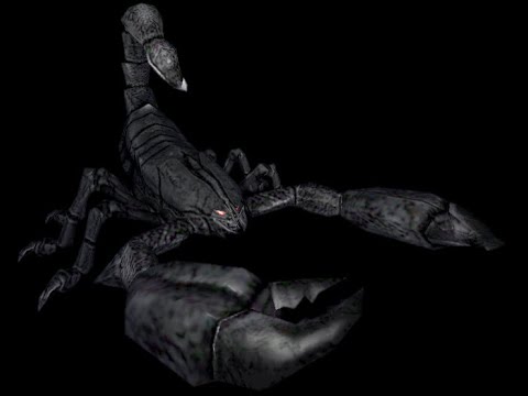 Pit Scorpion Familiar - YouTube