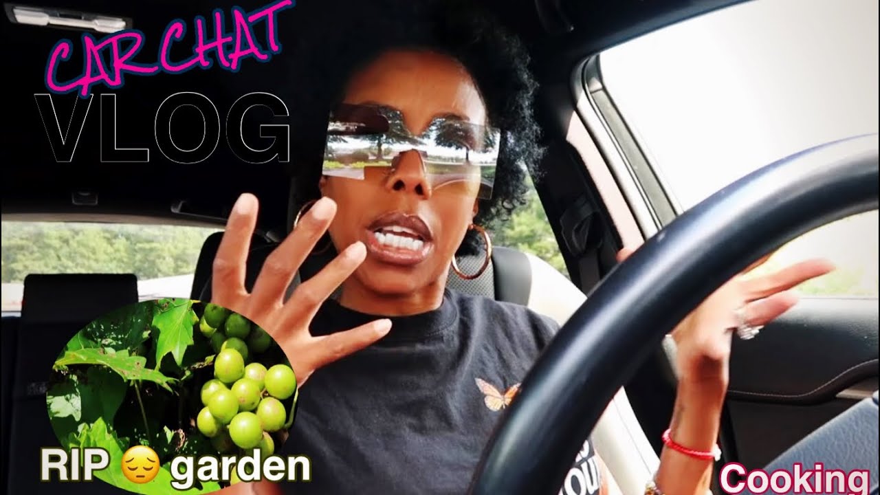 VLOG | CAR CHAT + RIP TO OUR GARDEN & cooking - YouTube