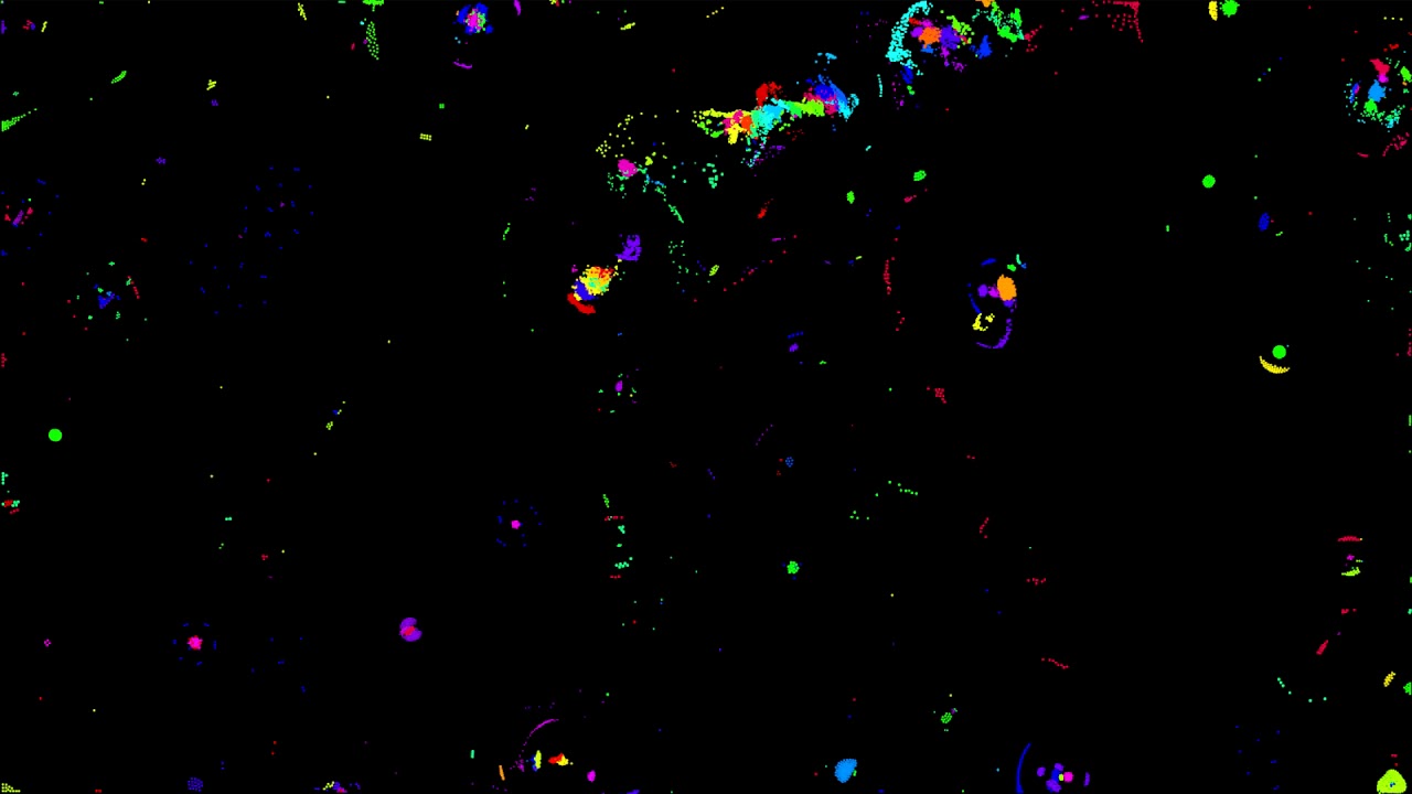 2D Particle Life - YouTube