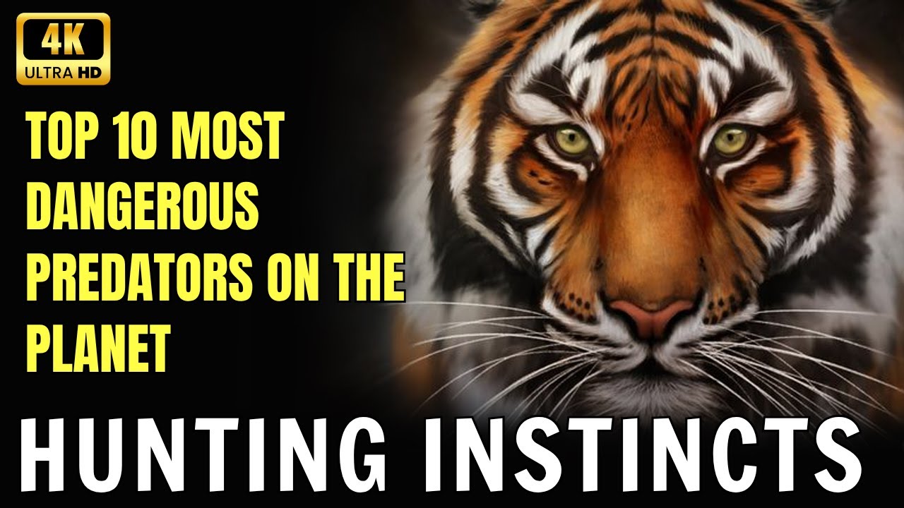 Hunting Instincts: Inside the Lives of Earth’s Most Dangerous Predators ...