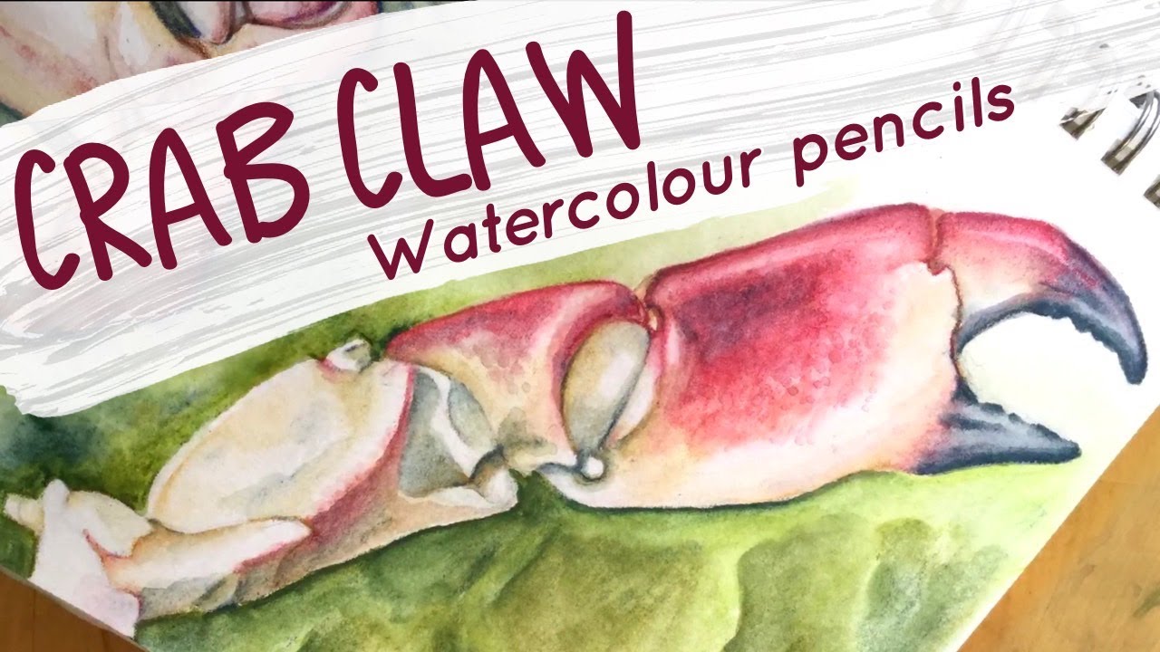 Drawing a crab pincer with Derwent Watercolour pencils - YouTube