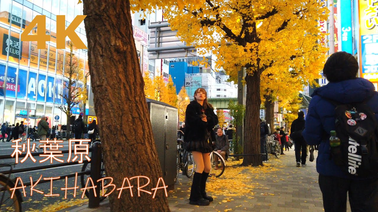 【4k】Tokyo walk-Akihabara💖秋葉原を散歩 - YouTube