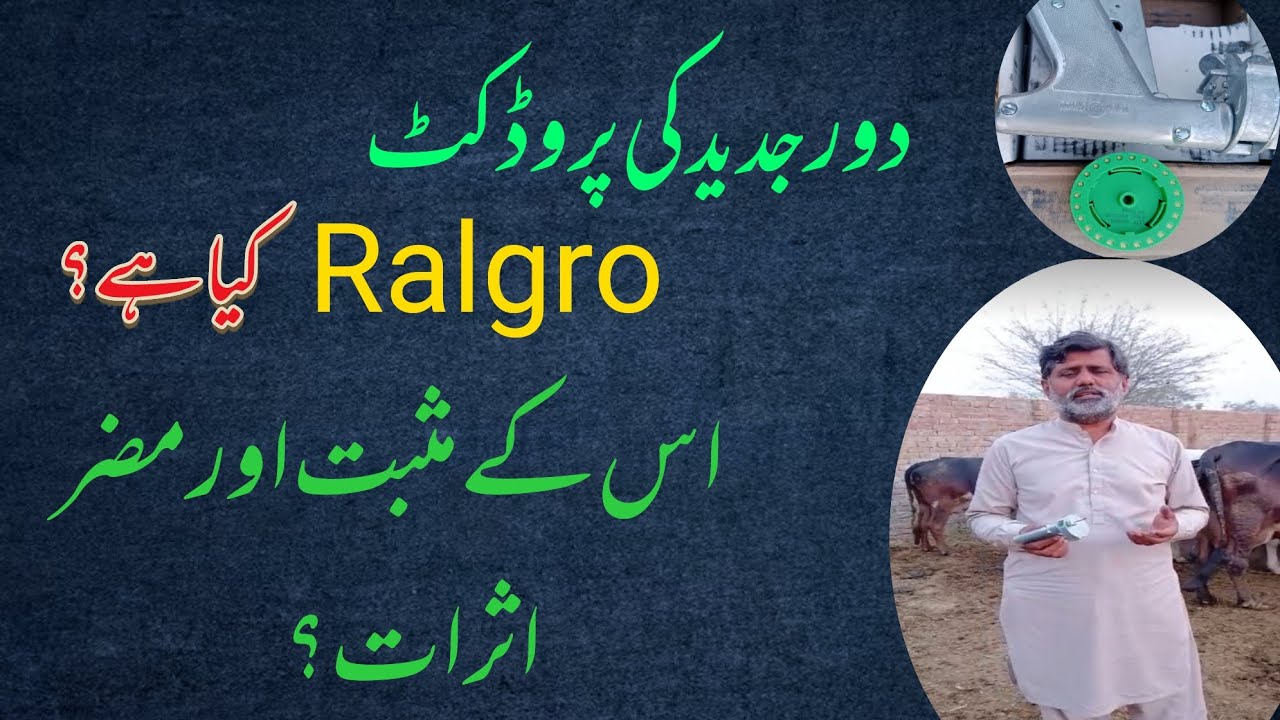 What is Ralgro?How to increase weight in cattle||جانوروں میں وزن بڑھانے ...